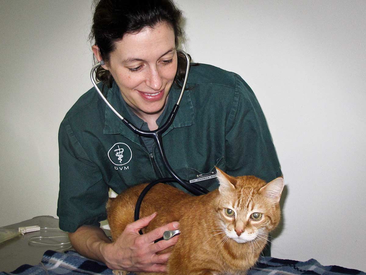Clinic Tour | Switzer Veterinary Clinic Clinic Tour | Switzer Veterinary Clinic